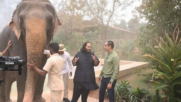 What's Inside Anant Mukesh Ambani’s 'Vantara' 3000 Acre Animal Rescue ...