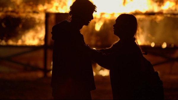 Uncover the Forest: 5 Must-Watch Deforestation Movies | Movies That ...