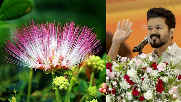 What's Inside the Vijay's 'Tamilaga Vettri Kazhagam' Political Party ...