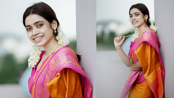 Bigg Boss Tamil Season 8: Contestants List With Photos | Confirmed ...