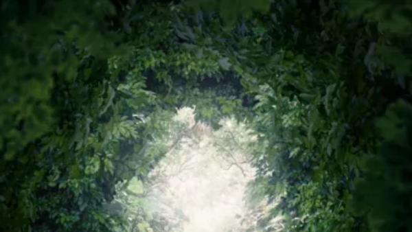 All You Need To Know About Disney's New Documentary Lost In The Jungle ...