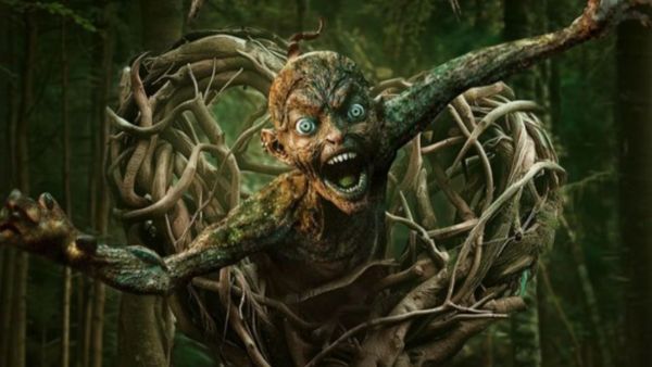 Most Awaited Maddock Films | Exciting Lineup of Upcoming Maddock Films ...