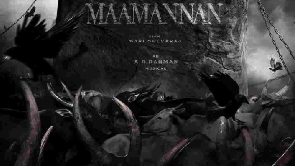 Maamannan OTT Platform: OTT Release Date, Satellite Rights, and Story ...