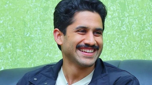 Rashmika Mandana to Naga Chaitanya 10 Bollywood Debut Actors & Actress 2022 – FilmiBeat