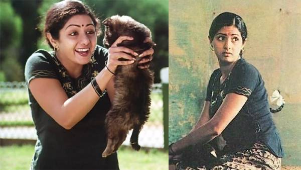 श्रीदेवी के 10 दमदार किरदार | 10 Iconic Roles Played by Sridevi – FilmiBeat