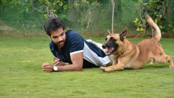 Top Indian Movies Where Dogs Stole the Show: From 777 Charlie to ...