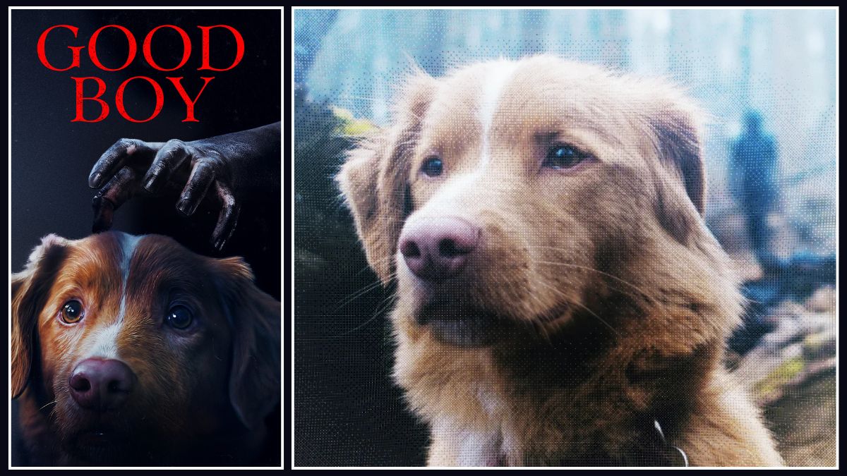 Good Boy OTT Release: Streaming Date, Platform, Cast & Plot Explained ...