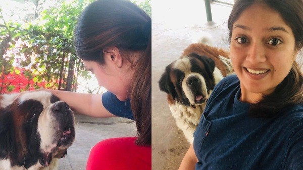 Meghana Raj Sarja loses her pet dog Bruno : ಮೇಘನಾ ರಾಜ್ ಪ್ರೀತಿಯ 'ಬ್ರೂನೋ ...