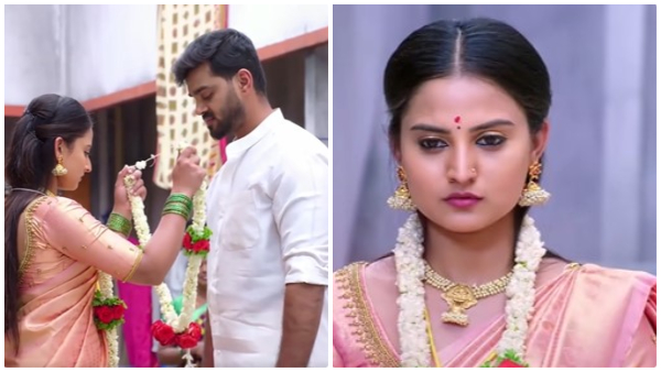 Antarapata: ಮದುವೆ ಸಂಭ್ರಮದಲ್ಲಿದ್ದ ರೇವತಿಗೆ ಅಳಿಯ ಹಿನ್ನೆಲೆ ಕೇಳಿ ಶಾಕ್ ...