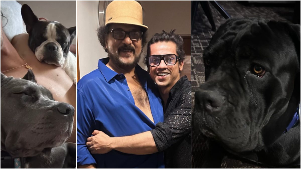 ಮಾರ್ಡನ್ ರವಿಚಂದ್ರನ್ ಅಂತಲೇ ಟ್ರೆಂಡ್ ಆಗ್ತಿರೋ ಕಿಶನ್ ಬಿಳಗಲಿ ಬಹು ದೊಡ್ಡ ಶ್ವಾನ ...