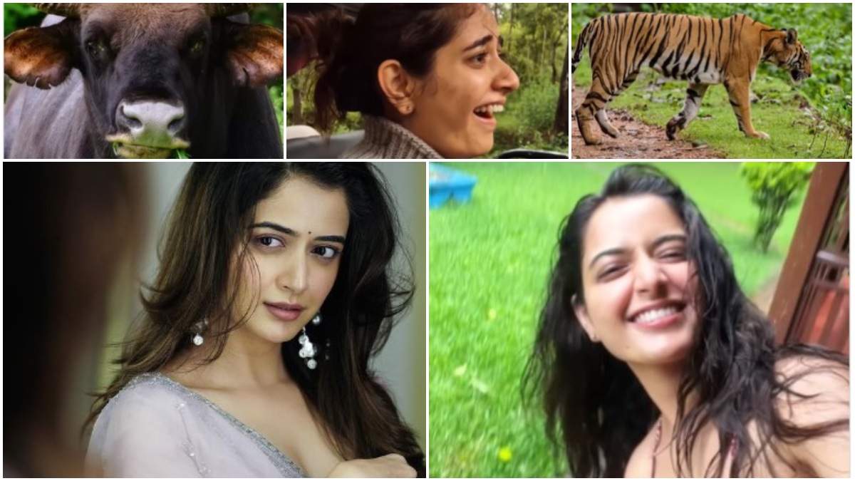 ''ಫ್ರೆಂಡ್‌ಶಿಪ್ ಅಂದ್ರೆ ಡಿ ಬಾಸ್" ಎಂದಿದ್ದ ಆಶಿಕಾ ರಂಗನಾಥ್ ಕಾಡೊಳಗೆ ಕ್ಯಾಮರಾ ...