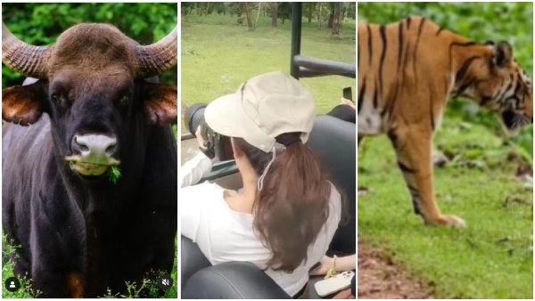 ''ಫ್ರೆಂಡ್‌ಶಿಪ್ ಅಂದ್ರೆ ಡಿ ಬಾಸ್" ಎಂದಿದ್ದ ಆಶಿಕಾ ರಂಗನಾಥ್ ಕಾಡೊಳಗೆ ಕ್ಯಾಮರಾ ...