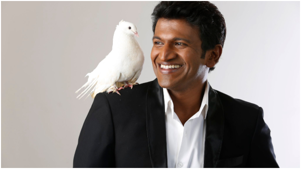 ಪುನೀತ್ ರಾಜ್‌ಕುಮಾರ್ 50ನೇ ಜಯಂತೋತ್ಸವ; ರಾಜರತ್ನನಿಗೆ ಅಭಿಮಾನಿಗಳ ನಮನ | Puneeth ...