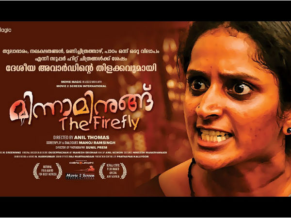 Minnaminung director Anil Thomas against audience - Malayalam Filmibeat