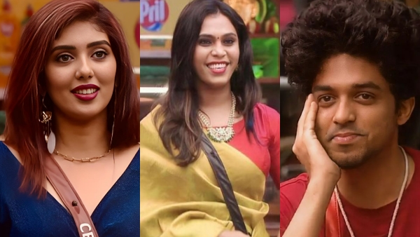 Bigg Boss Malayalam Season 5: Sagar Surya Open Up About Cerena And ...