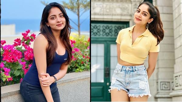 ദിയയ്ക്ക് കല്യാണം, അടുത്തത് ഇഷാനിയോ? സര്‍ജറിയെക്കുറിച്ചും താരം ...