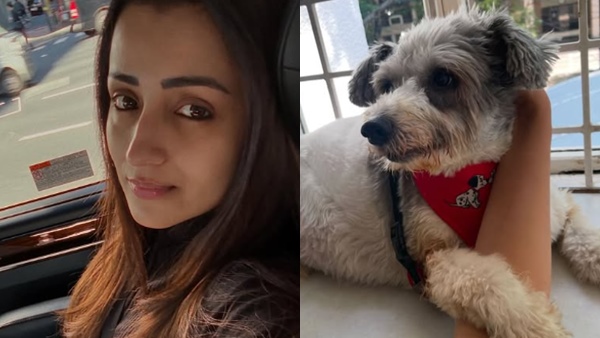 'പരിഹസിക്കുന്നവർക്ക് എന്തറിയാം, തൃഷയ്ക്ക് മകനാണ് സോറോ, എല്ലാ ...