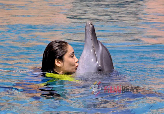 Sofia Hayat Photos | Sofia Hayat Latest HD Pics |Sofia Hayat New Images ...