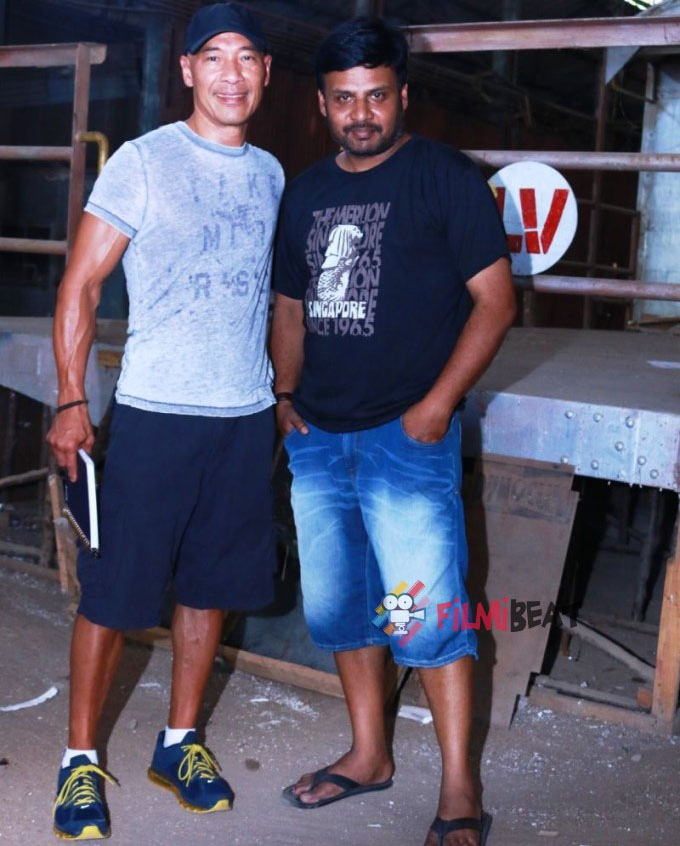 Hollywood Stunt Master In Prabhu Solomon Dhanush Movie - Filmibeat