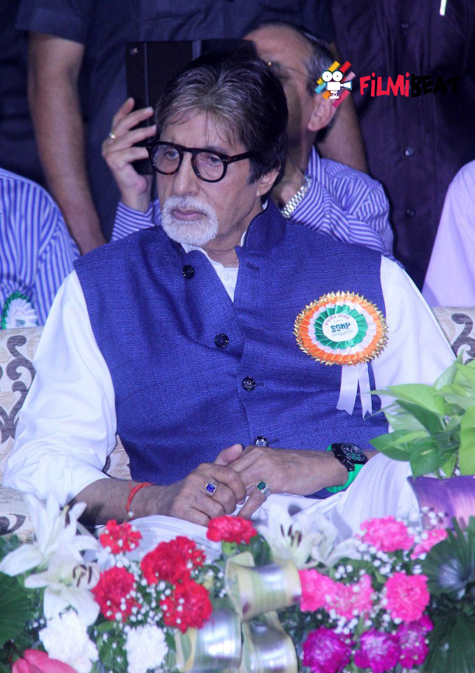 Amitabh Bachchan Appointed As Maharashtra’s Tiger Ambassador - Filmibeat