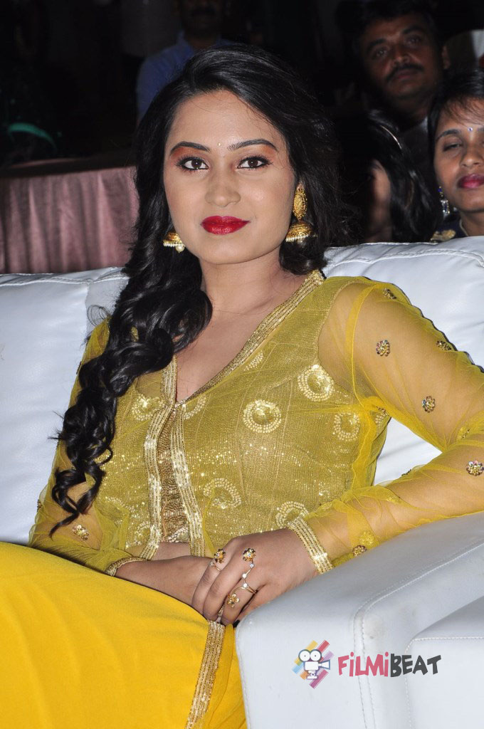 Veeri Veeri Gummadi Pandu Audio Launch - Filmibeat