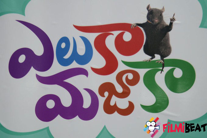 Yeluka Majaka Press Meet - Filmibeat