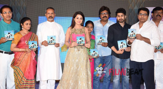 Jilakara Bellam Audio Launch - Filmibeat