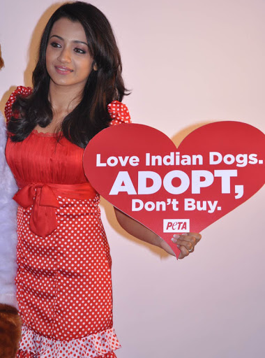 Celebs Who Support PETA - Filmibeat