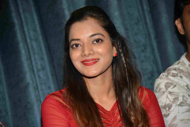 Double Engine Film Press meet - Filmibeat