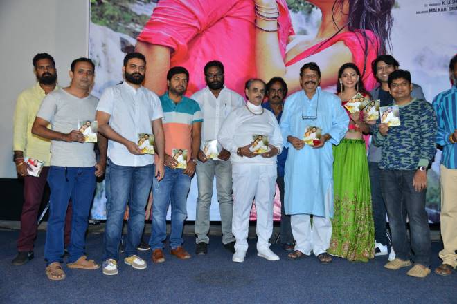 Naa Love Story Movie Audio Launch - Filmibeat