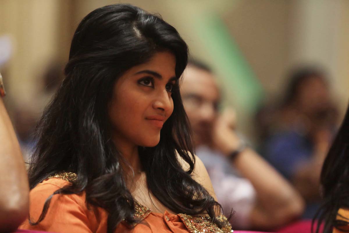 Peta Movie Pre Release Function Photos - Filmibeat