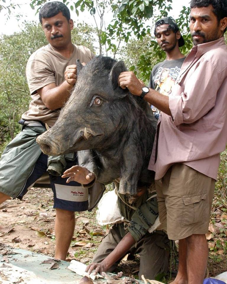 10 Years Kannada Superhit Movie Gaalipata Special : Unseen On The Set ...