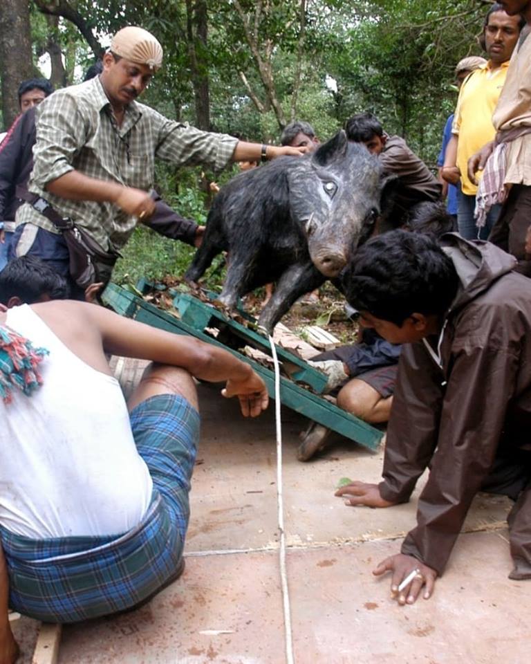 10 Years Kannada Superhit Movie Gaalipata Special : Unseen On The Set ...