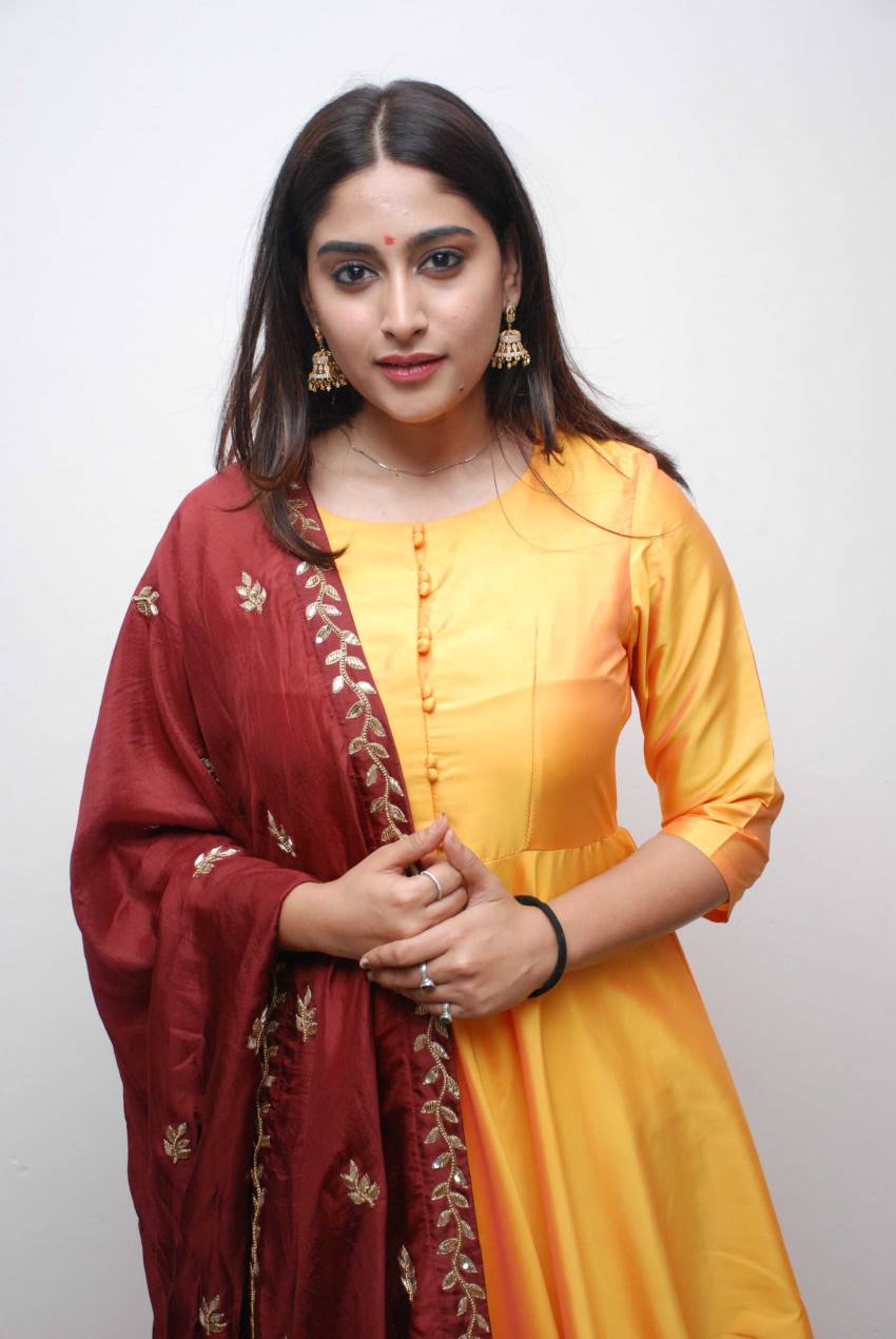 Padde Huli Movie Success Meet Photos - Filmibeat