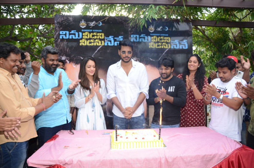 Ninu Veedani Needanu Nene Success Celebrations Photos - Filmibeat