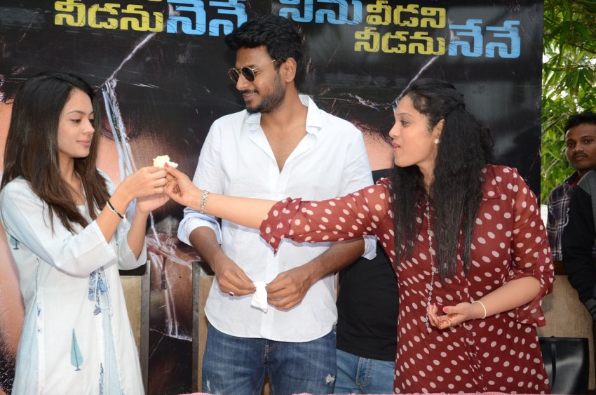 Ninu Veedani Needanu Nene Success Celebrations Photos - Filmibeat