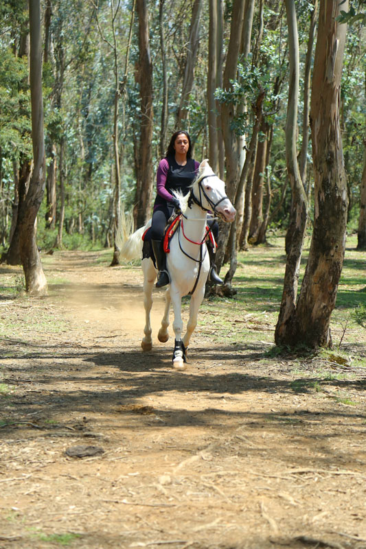 Donga Telugu Movie: Pooja, Shooting Stills, Location Photos & First ...