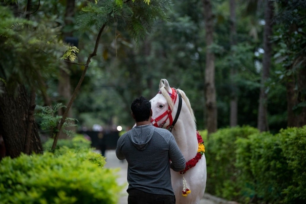 Darshan Celebrates Sankranthi 2021 At His Farm House - Filmibeat