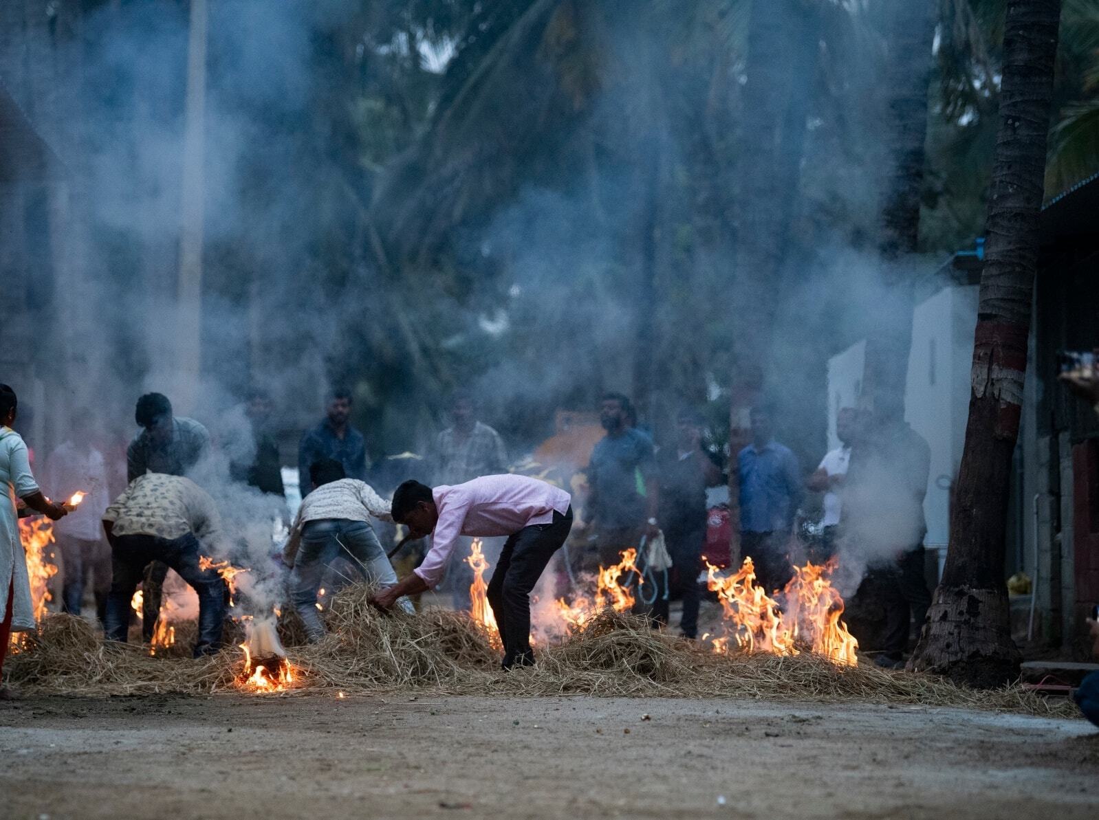 Darshan Celebrates Sankranthi 2021 At His Farm House - Filmibeat