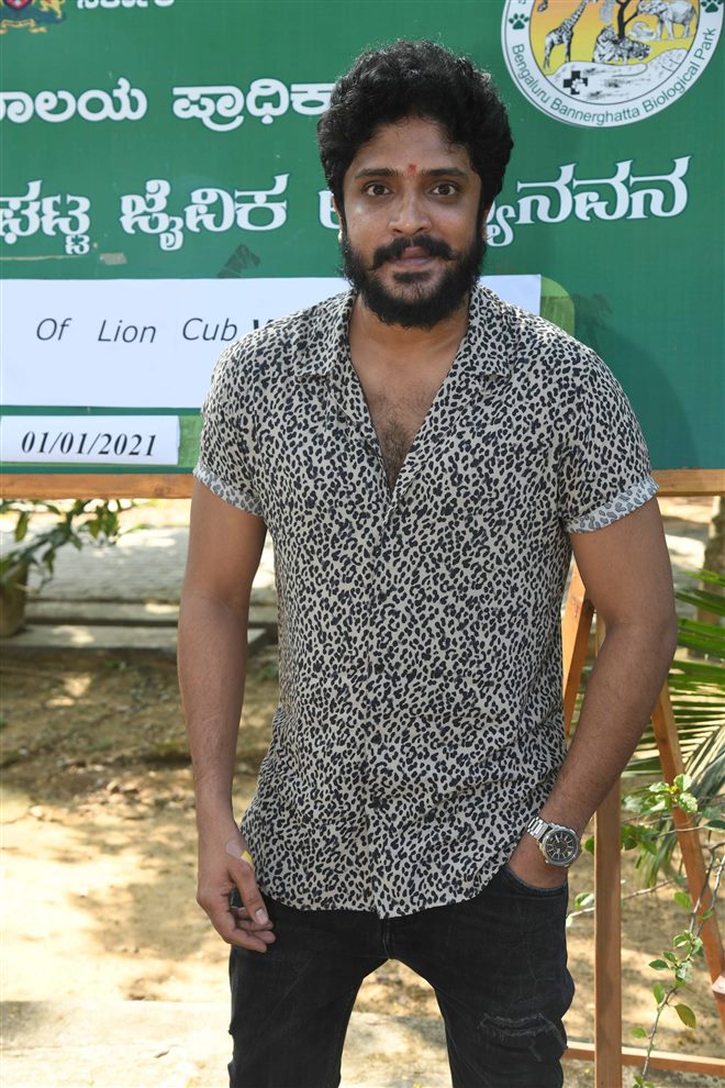 Vasishta Simha Adoption of Lion Cub in Bannerghatta Biological Park ...