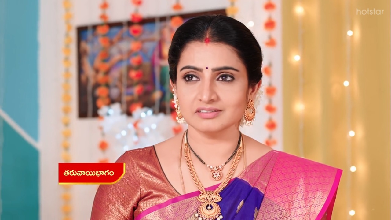 Vadinamma : సీత -రఘురామ్ ల బంధానికి పరీక్ష.. కళ్ళకు గంతలతో ఏం చేస్తారు ...