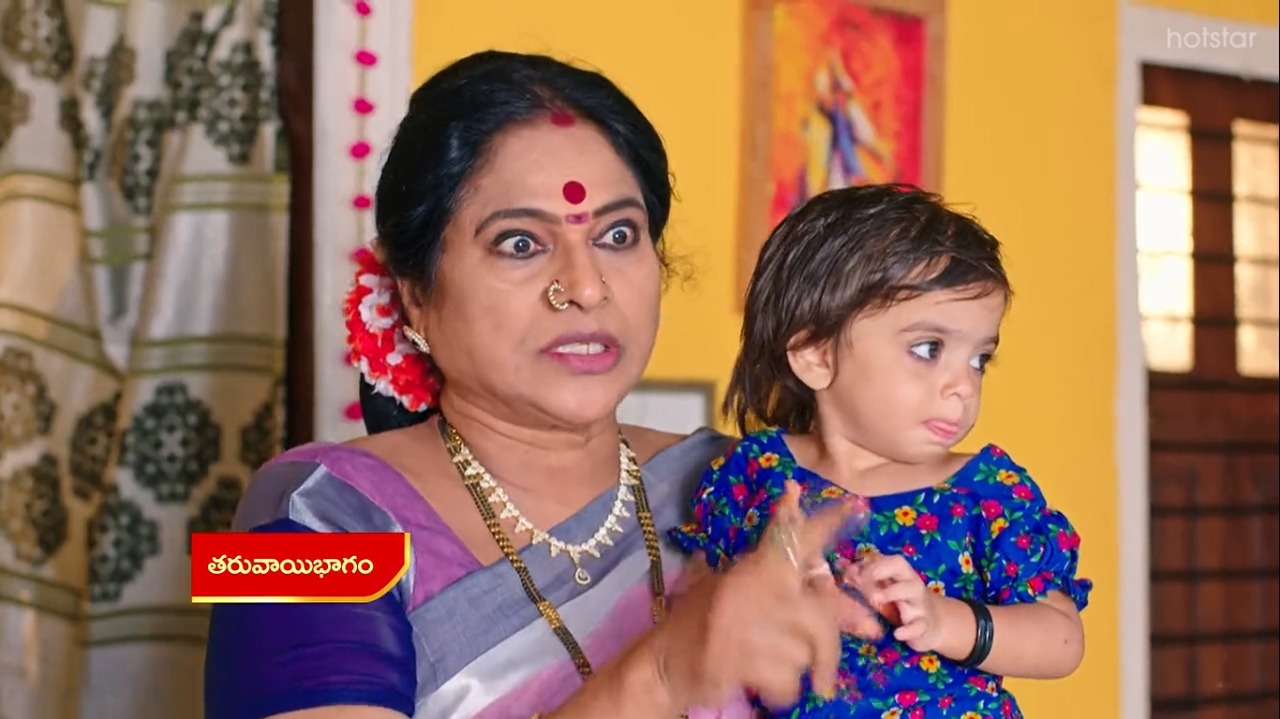 Vadinamma : అమ్మో పార్వతి..రౌడీ సాయంతో వైదేహి కిడ్నాప్.. ఊపిరి ఆడకుండా ...