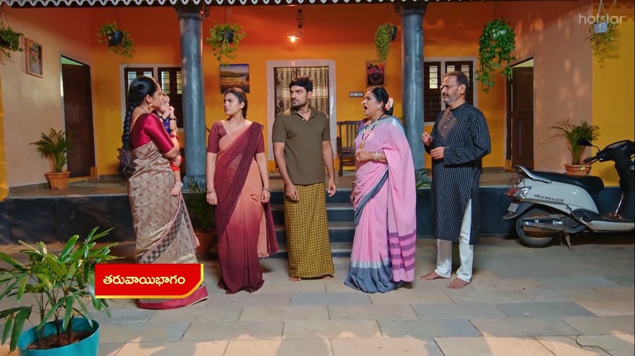 Vadinamma: సీతమ్మకి ఘోర అవమానం.. చేయిచేసుకున్న పార్వతి! | Vadinamma ...