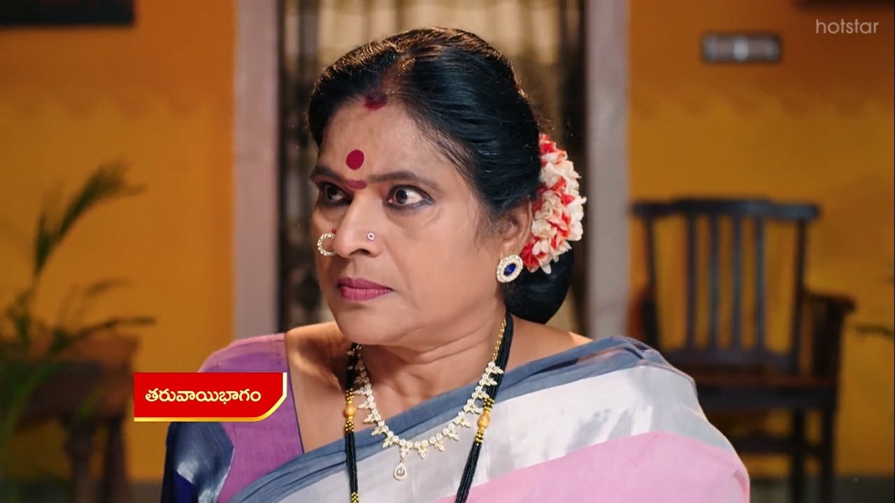 Vadinamma: సీతమ్మకి ఘోర అవమానం.. చేయిచేసుకున్న పార్వతి! | Vadinamma ...