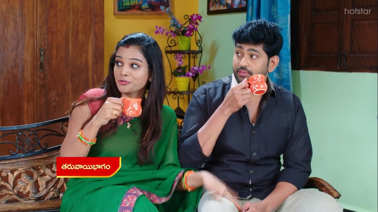 Vadinamma : నానిని ఏం చేయబోతున్నారు.. పెద్ద స్కెచ్చే ఉన్నట్టుందే ...