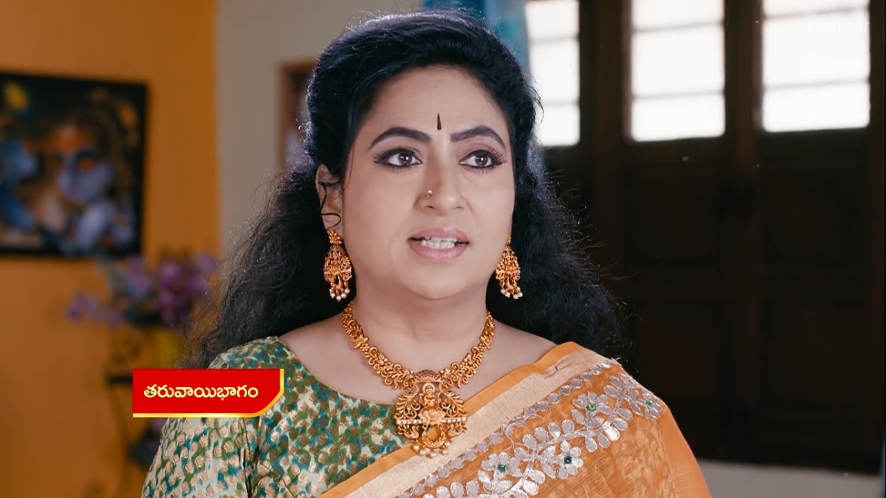 Vadinamma : భలే స్కెచ్ వేసిన దమయంతి.. ఇల్లరికం పక్కా అయ్యేలా ప్లాన్ ...