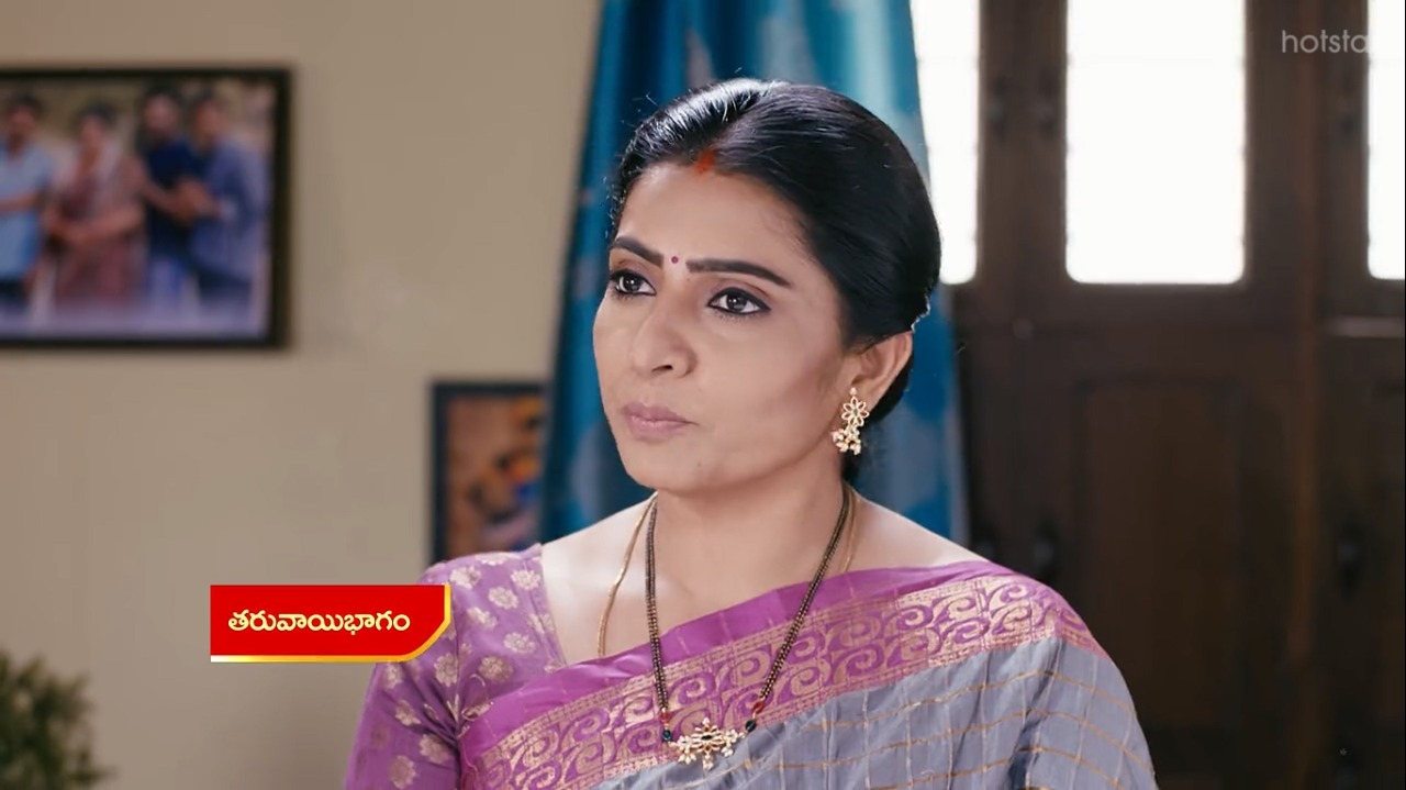 Vadinamma : భలే స్కెచ్ వేసిన దమయంతి.. ఇల్లరికం పక్కా అయ్యేలా ప్లాన్ ...