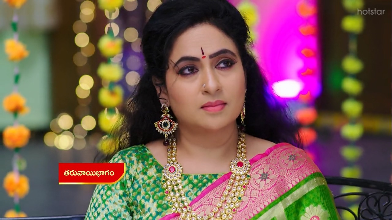 Vadinamma : దమయంతి దెబ్బకి సీతకి షాక్.. లాస్ట్ మినిట్ లో ఎవరూ ఊహించని ...