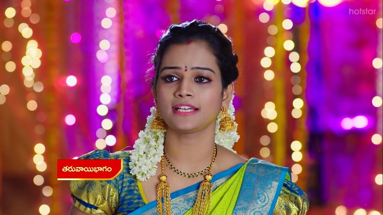 Vadinamma : దమయంతి దెబ్బకి సీతకి షాక్.. లాస్ట్ మినిట్ లో ఎవరూ ఊహించని ...