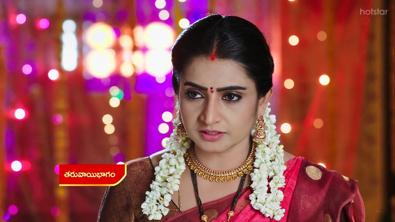 Vadinamma : దమయంతి దెబ్బకి సీతకి షాక్.. లాస్ట్ మినిట్ లో ఎవరూ ఊహించని ...